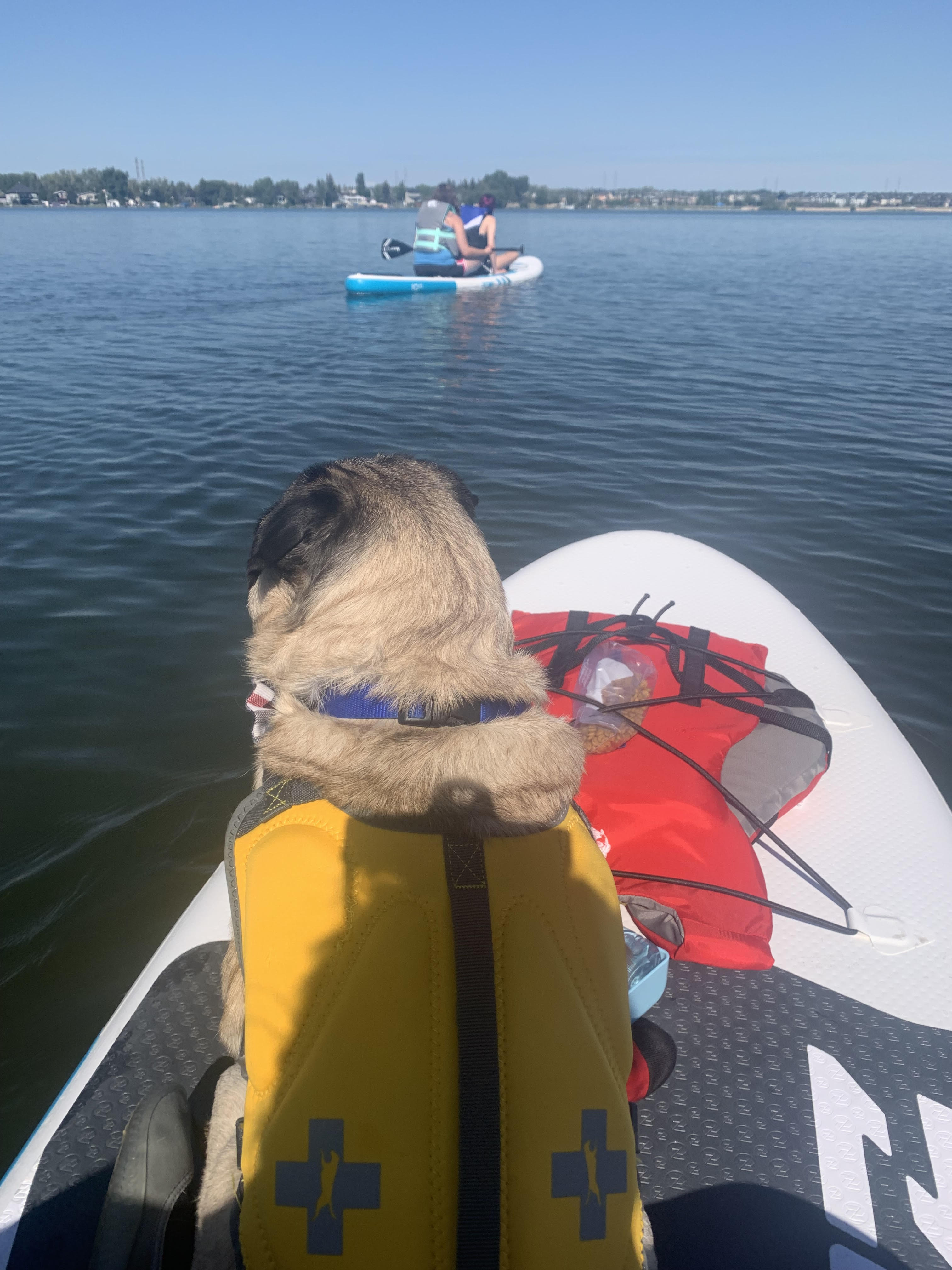 Paddle & Chill at Chestermere Lake – NeuroExplorer